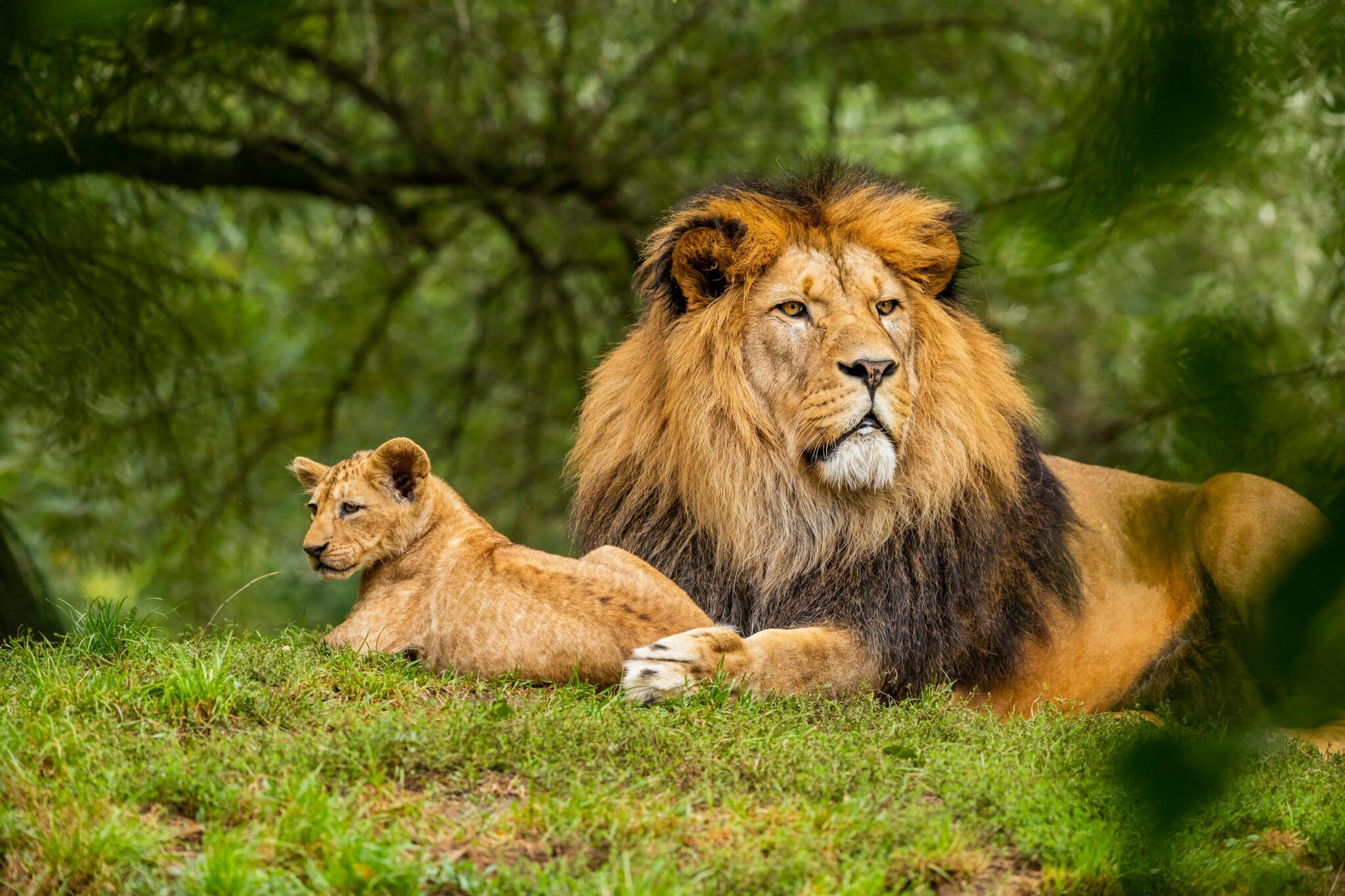 Tigris Valley | Wellness Retreat & Holistic Healing
